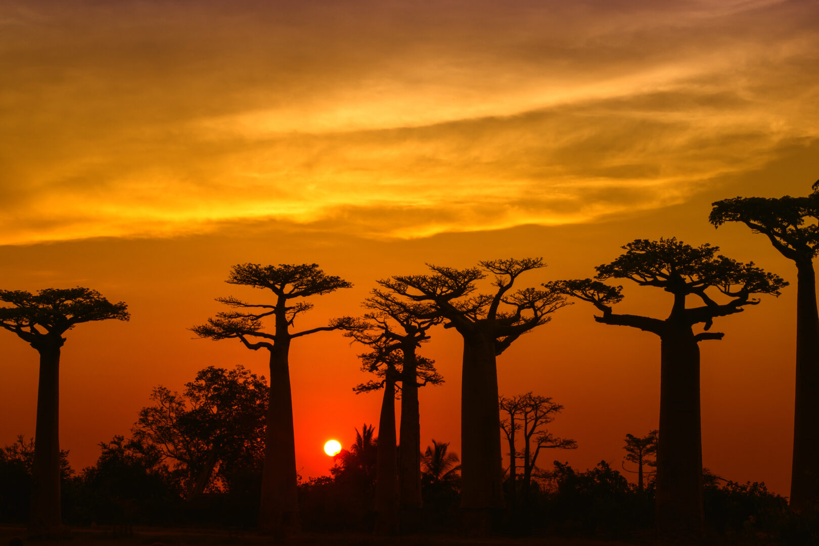 The Best of Madagascar - Vaya Adventures - Vaya Adventures