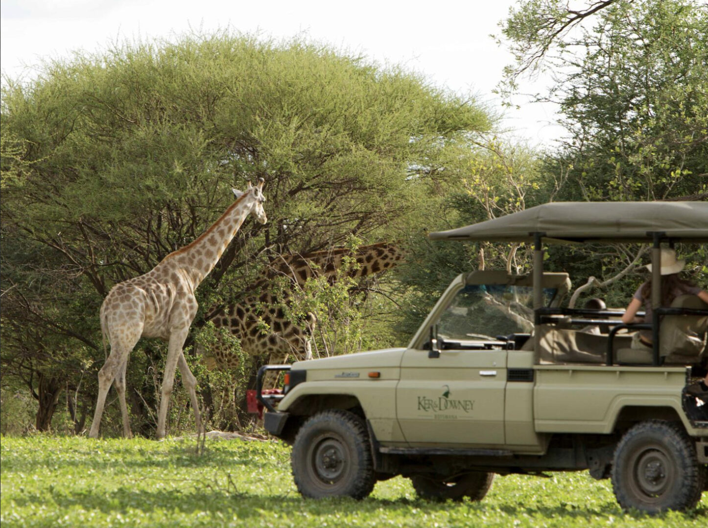 Botswana in Depth - Vaya Adventures - Vaya Adventures