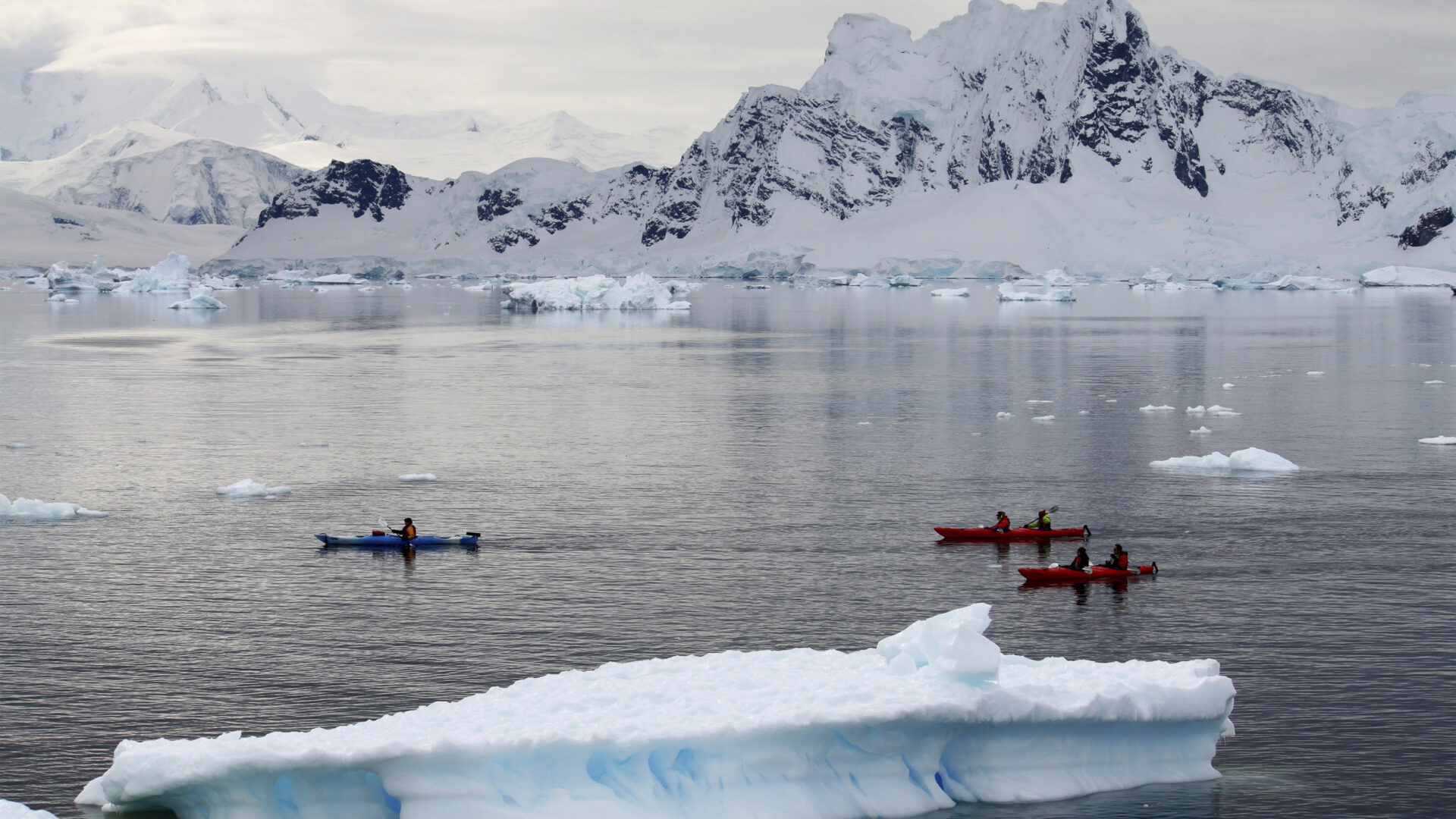 Polar Travel & Tours | Premier Polar Travel Agency