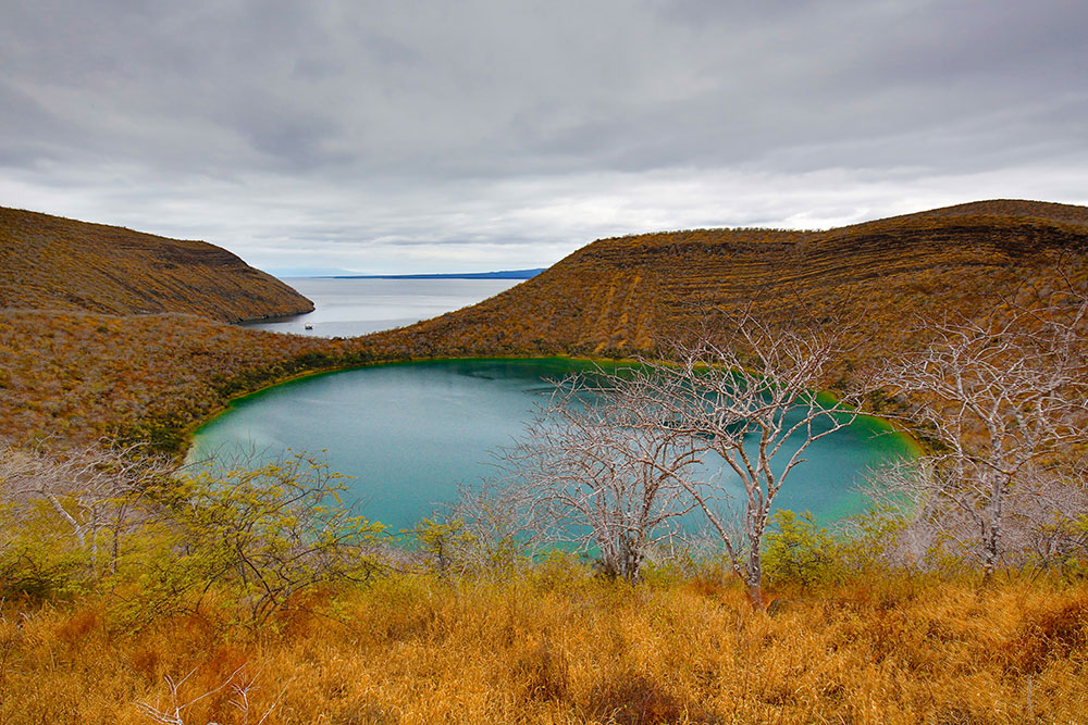 Machu Picchu & Galapagos Islands Tour - Vaya Adventures