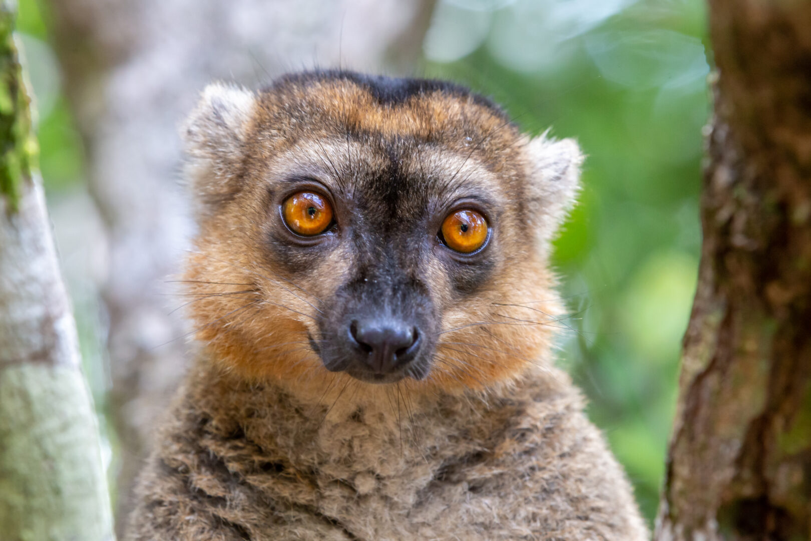 Madagascar Southern Highlights - Vaya Adventures - Vaya Adventures