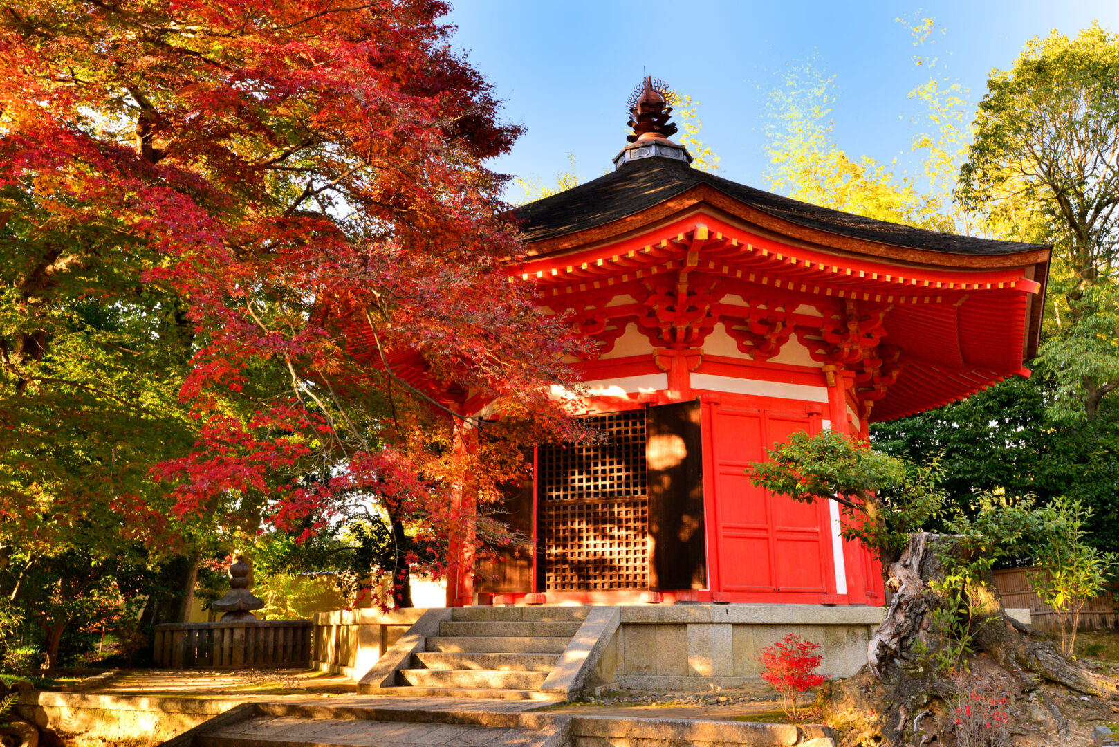 Japan In Depth - Vaya Adventures - Vaya Adventures